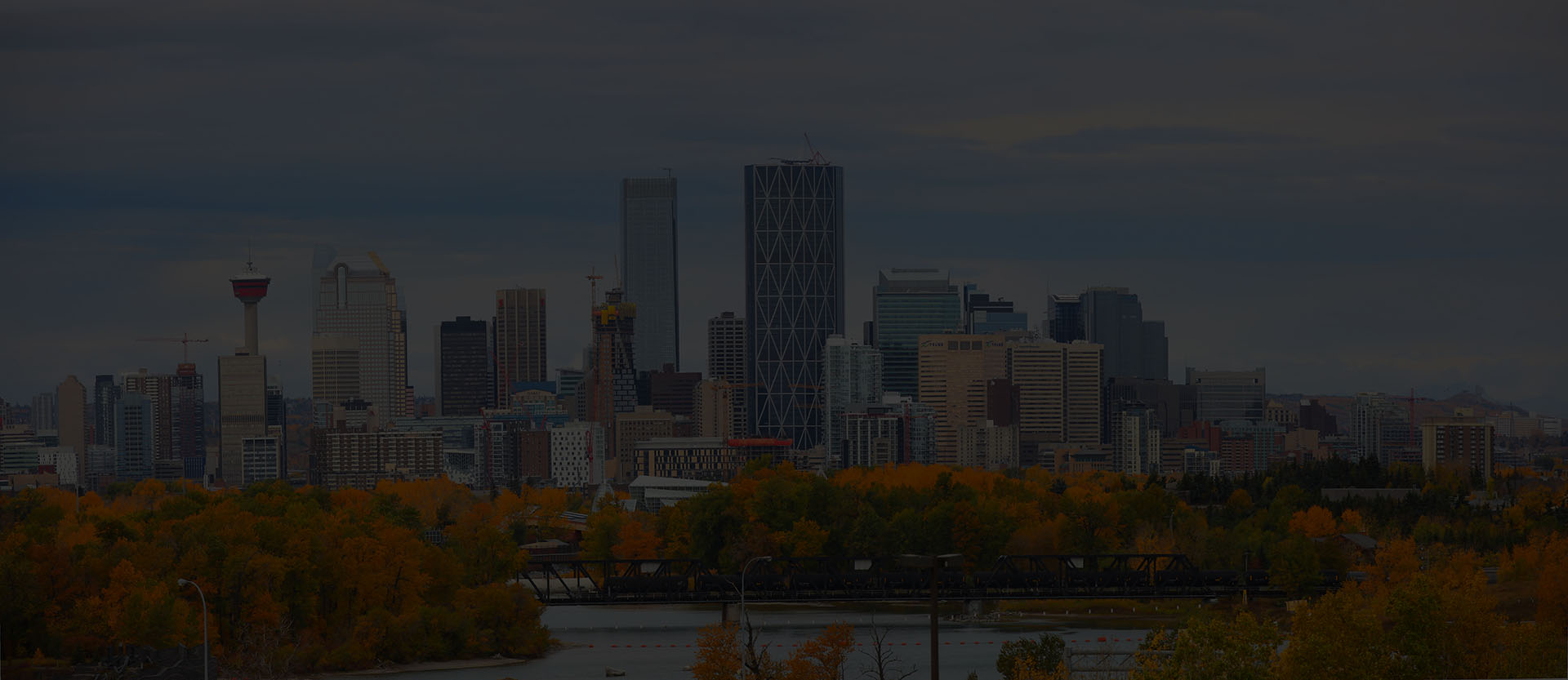 Immigration Services Edmonton - Immigration Nation